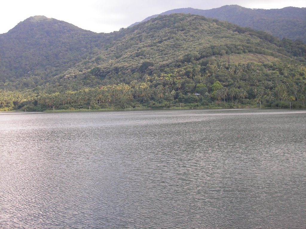 Tamilnadu Tourism: Gundar Dam, Sengottai, Thirunelveli