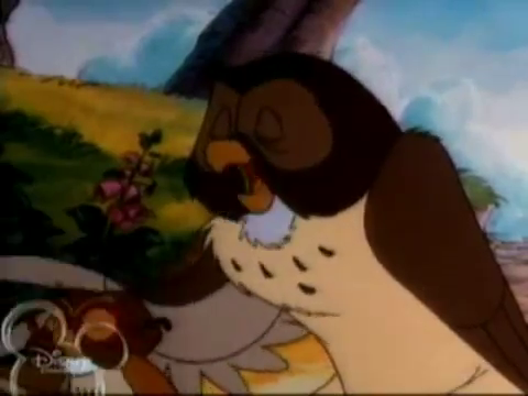 The New Adventures of Winnie The Pooh: The Bug Stops Here Part 1