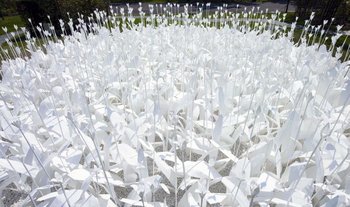 Mashmoom: Folding for Peace paper flowers