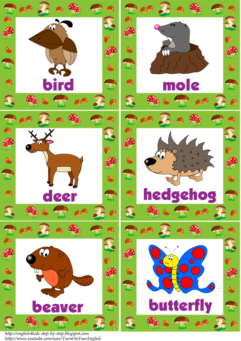 Forest Animals Coloring Pages and Flashcards