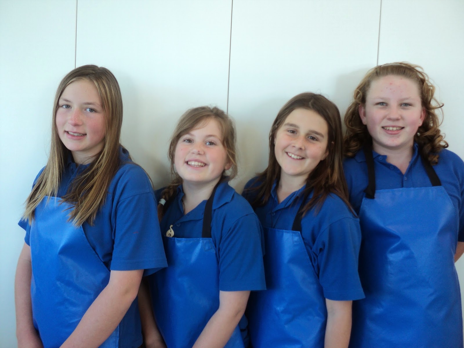 Room 5's Blog, Dargaville Intermediate School: A review of our year so ...