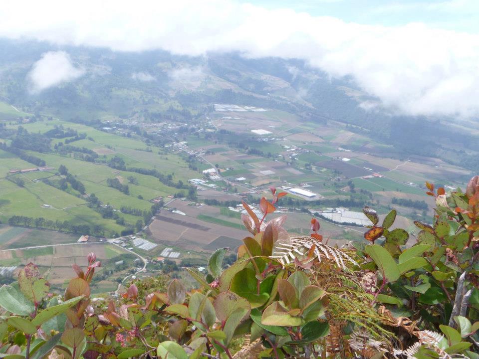 Culturama: DESDE LA CUMBRE DEL CERRO PUNTA...