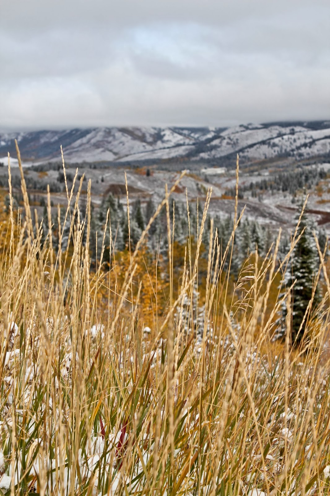 A Little Cuppa Tea: Fall: Sundance, Utah & Wyoming