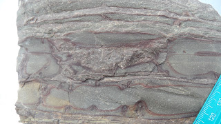 Fossils and Geology of Lanark County, Ontario: Mud cracks, Liesegang ...