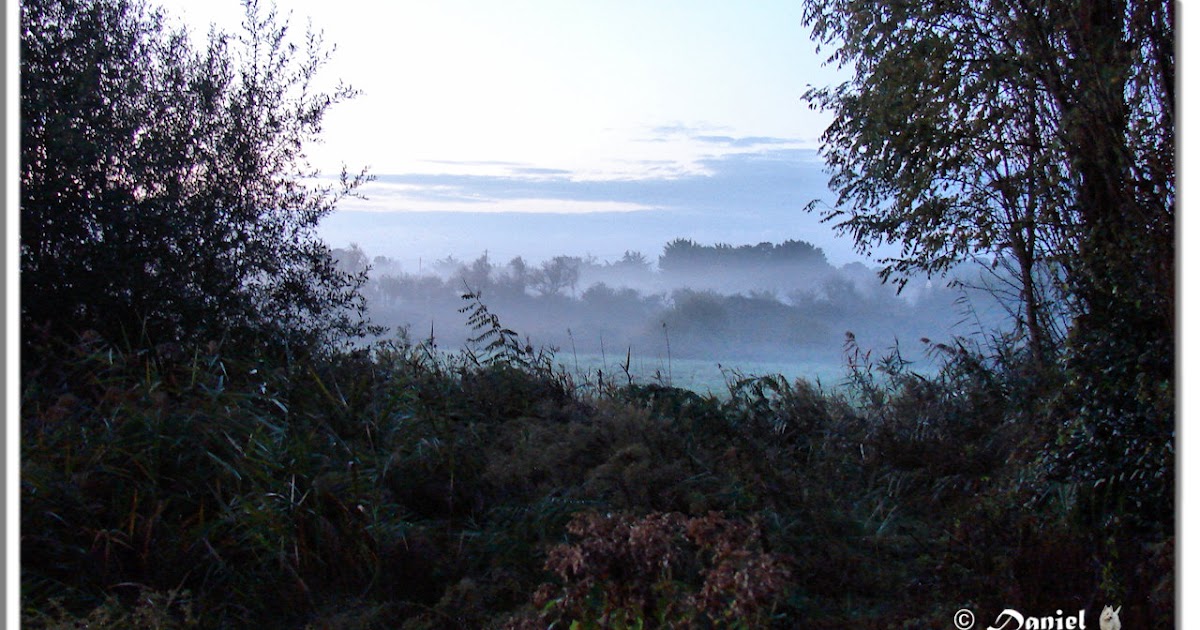 Photos Daniel: Matin