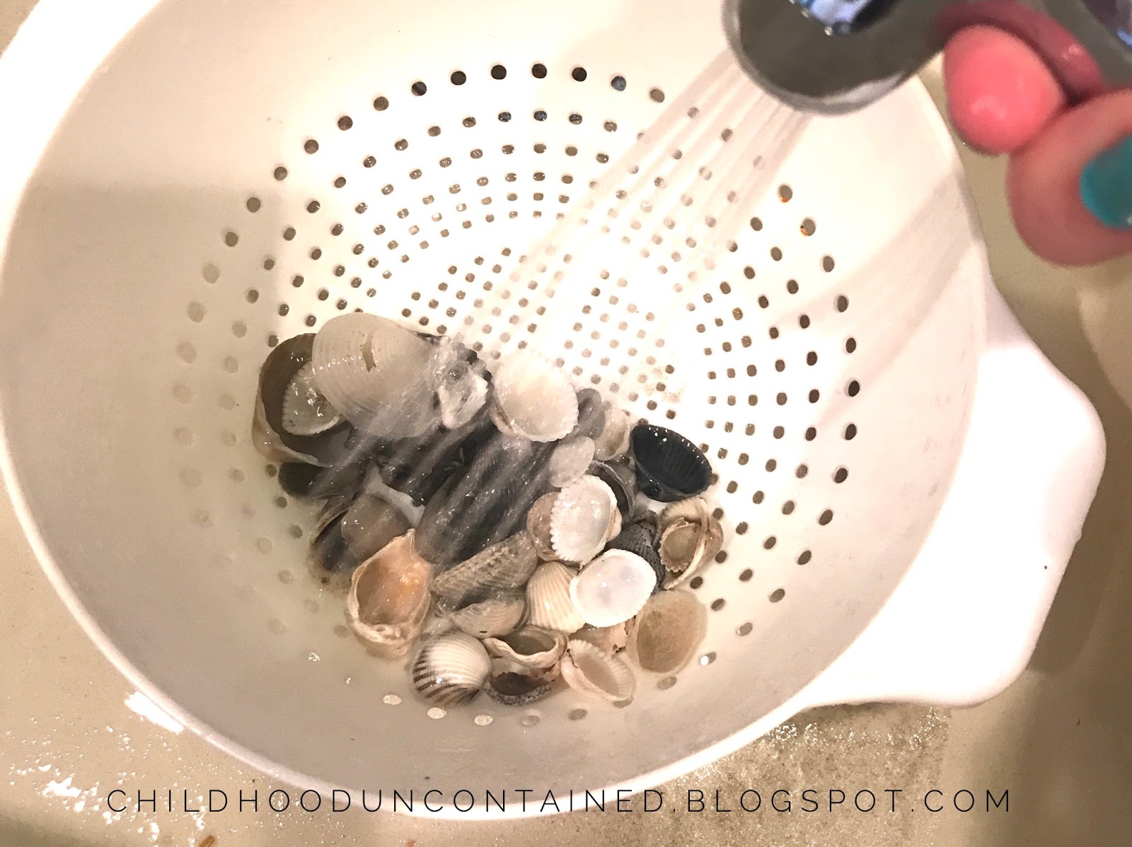 Childhood Uncontained: Sea Shell Sorting