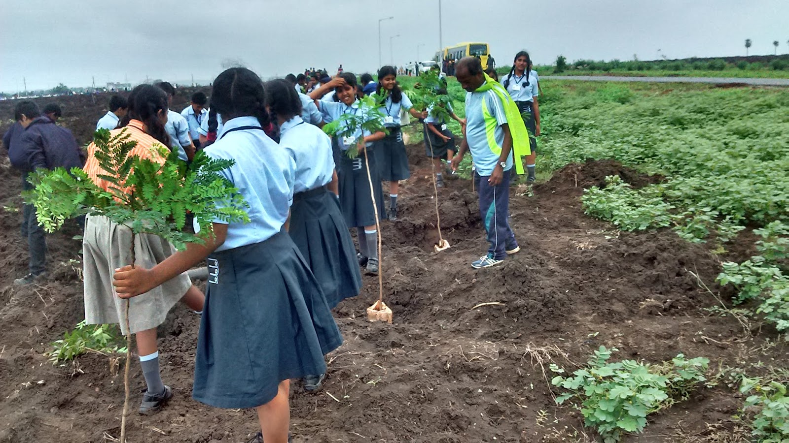 The Creek Planet School: TELANGANA'S HARITHA HARAM