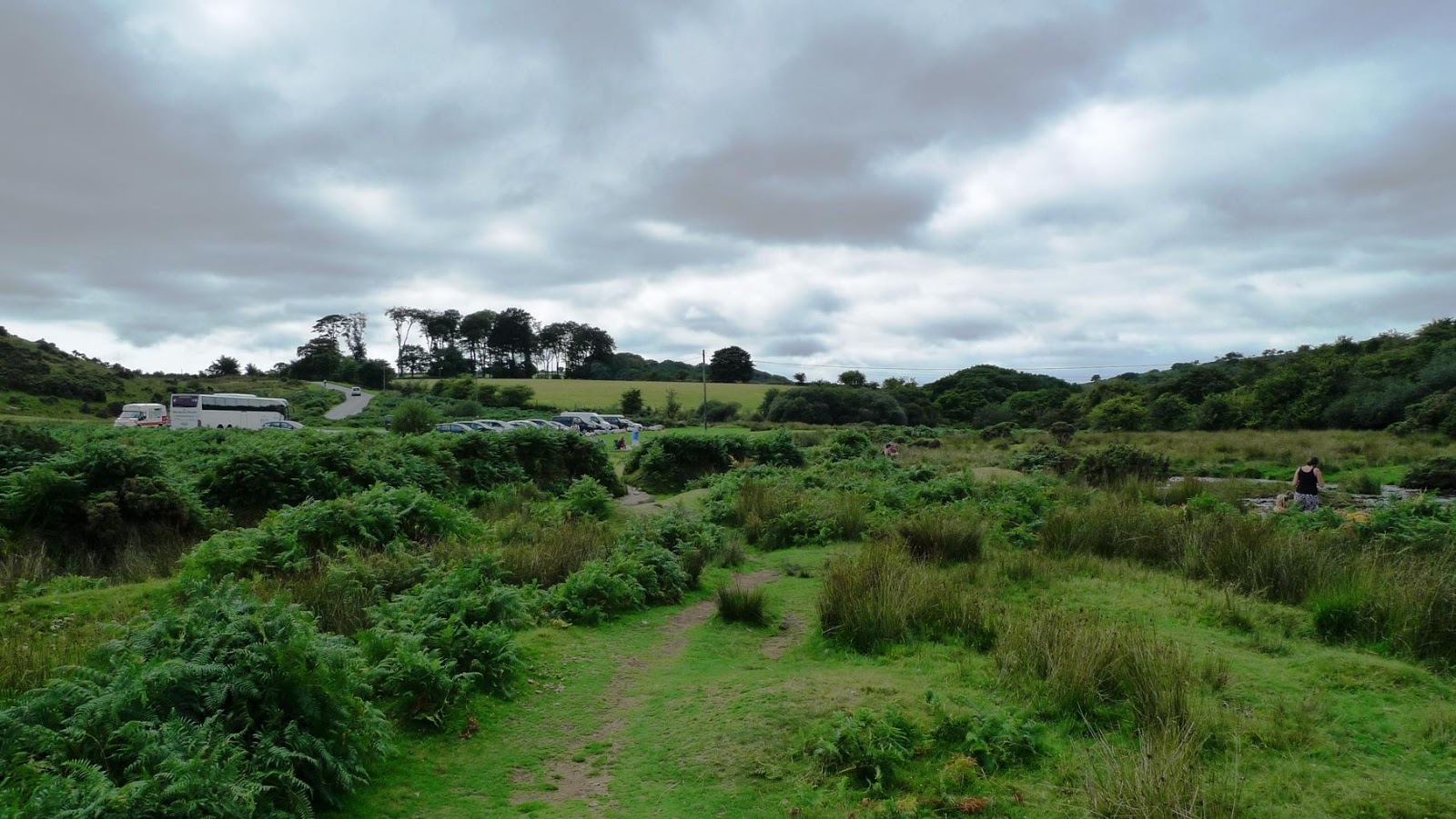 Days Out in Devon – Cadover Bridge, Plym Valley, Dartmoor