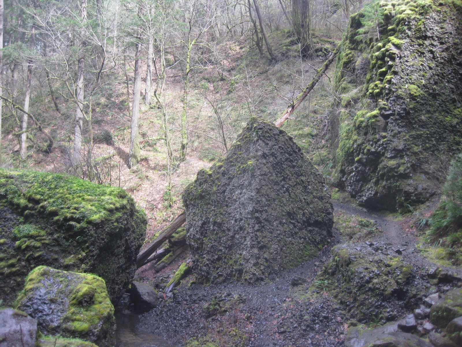 The Active Joe: Gorge Waterfalls 50K Race Report