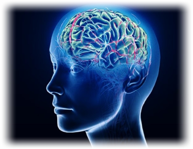 Adina Amironesei - Universul meu : Creierul - uimitorul computer uman ...