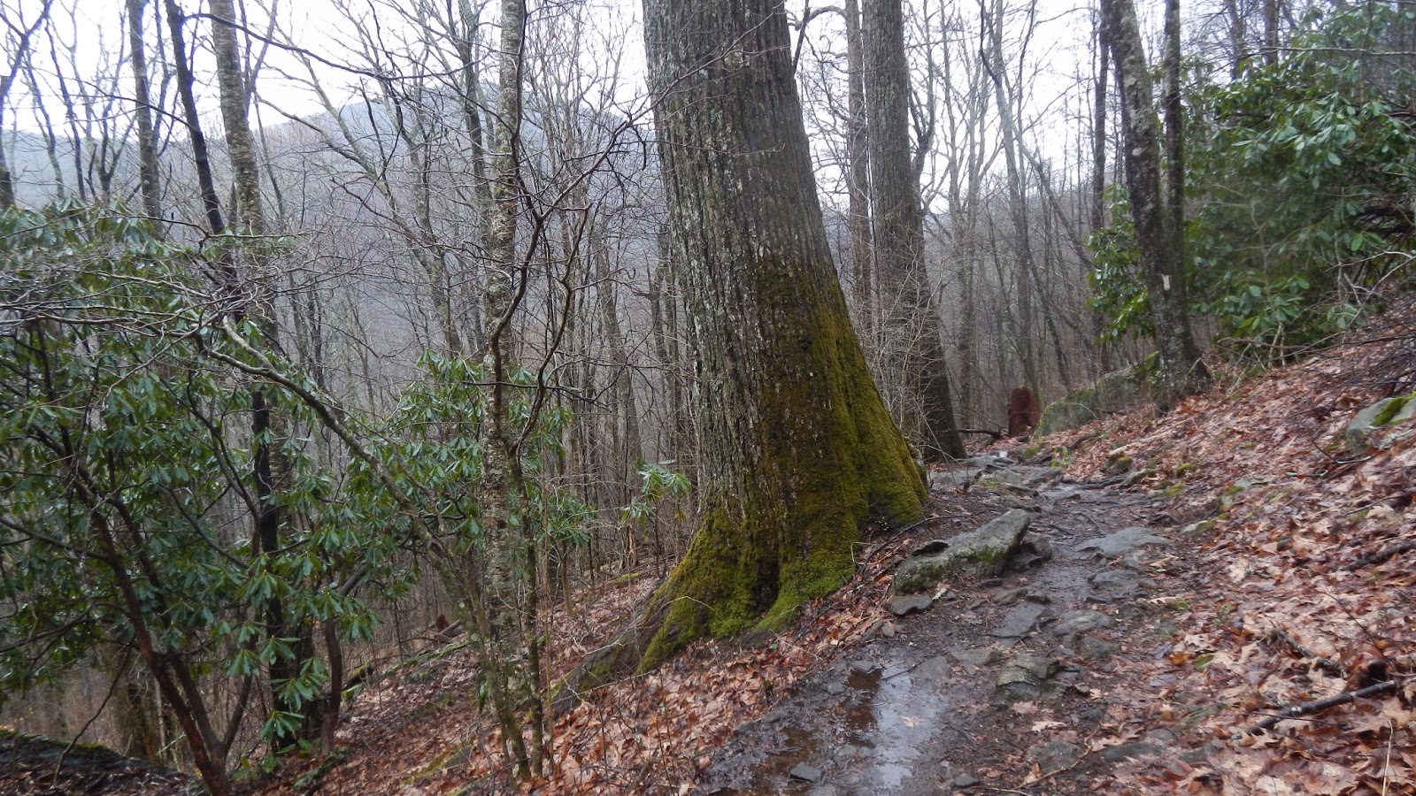 Across the Wilderness: Appalachian Trail: Dicks Creek Gap - Winding ...