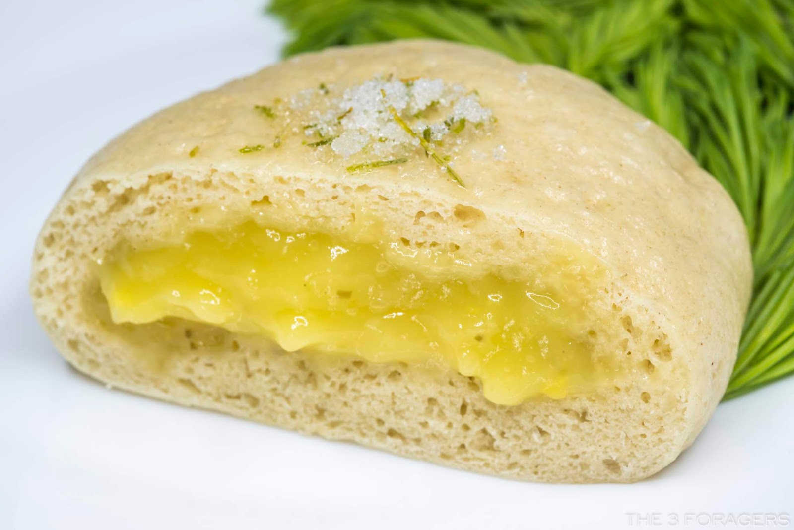 The 3 Foragers: Foraging for Wild, Natural, Organic Food: Spruce Tips ...