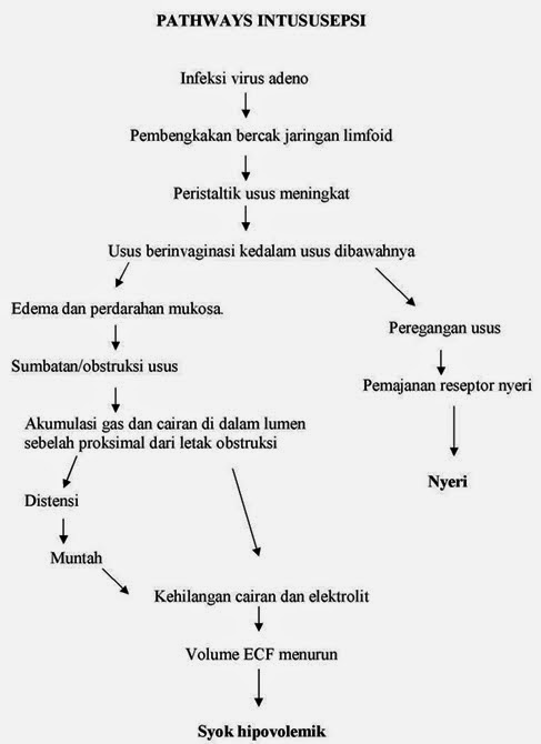 PATHWAYS INTUSUSEPSI - EBOOK YUFLIHUL KHAIR