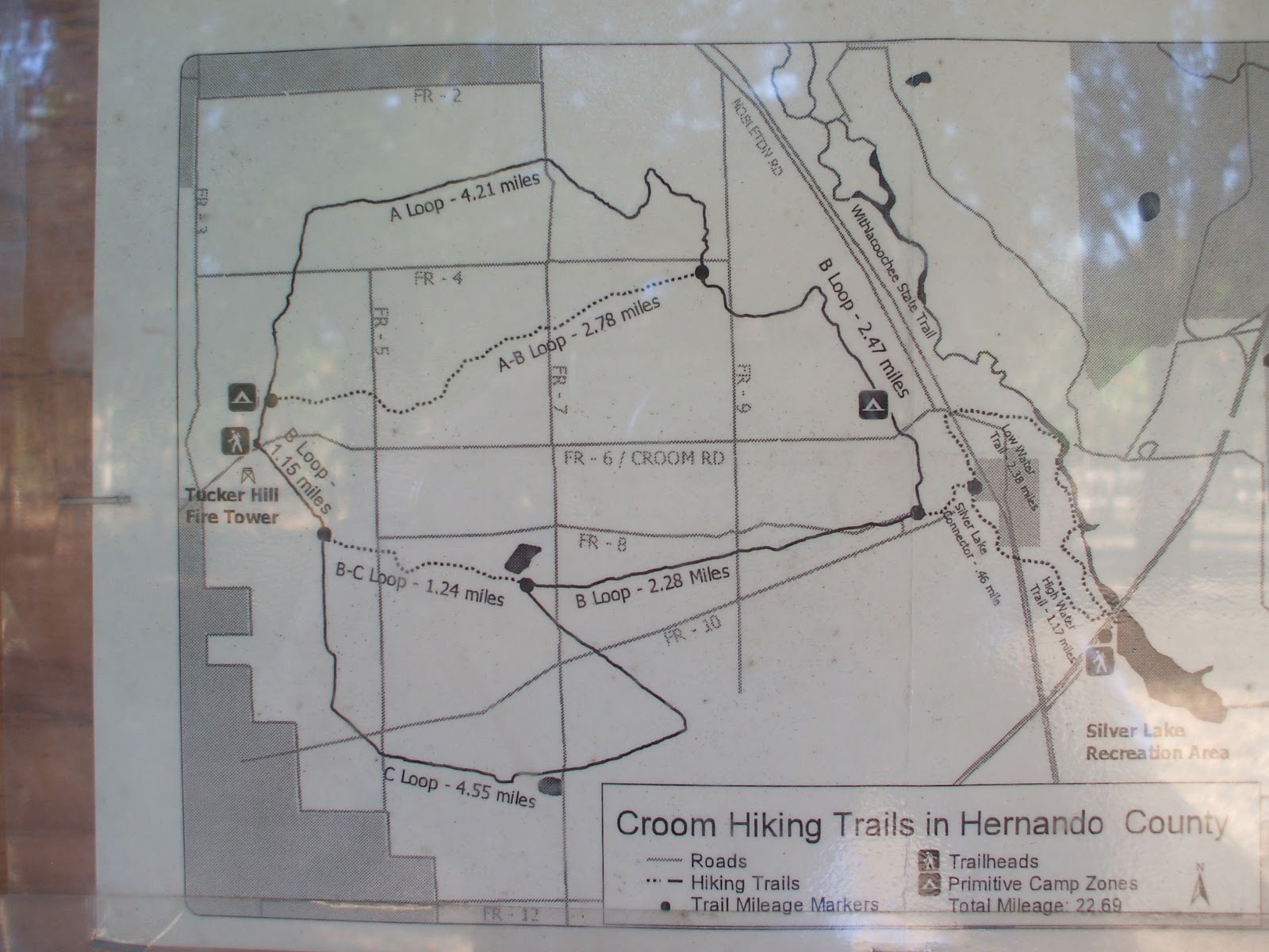 The Tampa Bay Hiker: Croom: The Loop(s)