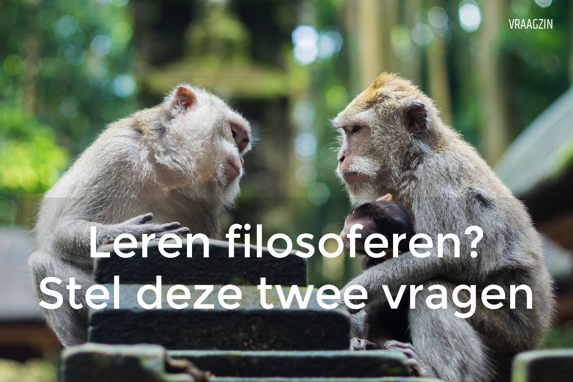 Filosoferen begint met het stellen van vragen. Deze twee.