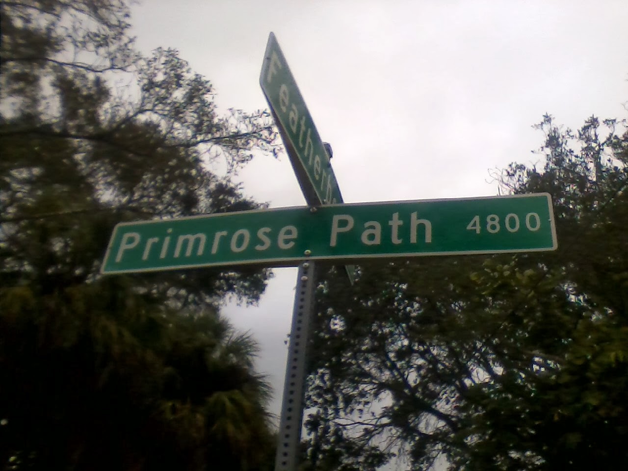 Report from the Florida Zone: Primrose Path