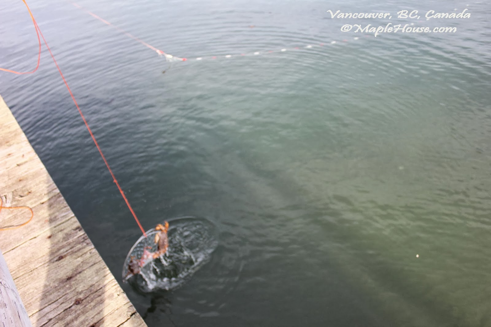 Living Vancouver Canada: Fishing for Dungeness Crab at Jericho Beach ...