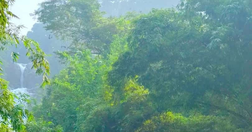 Wayamba field visit to Bopath Ella, Sabaragamuwa University and Army ...