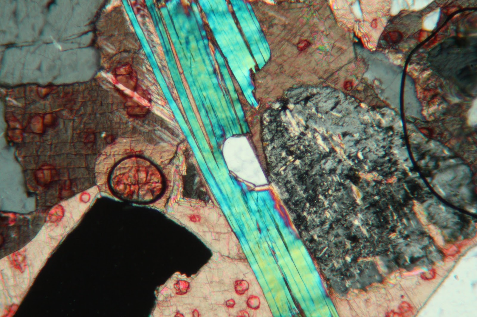 Dreams & Nightmares: Sandstone in thin section