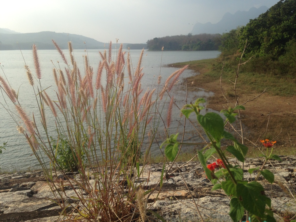 Tamilnadu Tourism: Chittar Dam – 2, Pechiparai, Kanyakumari