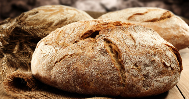 Proyecto Homo: EL PAN