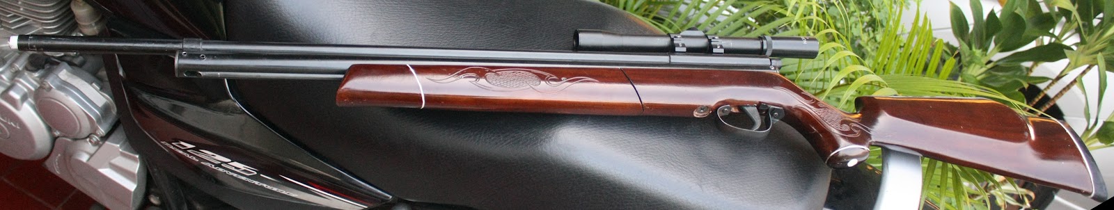 christanus: Senapan Angin Sharp Ace