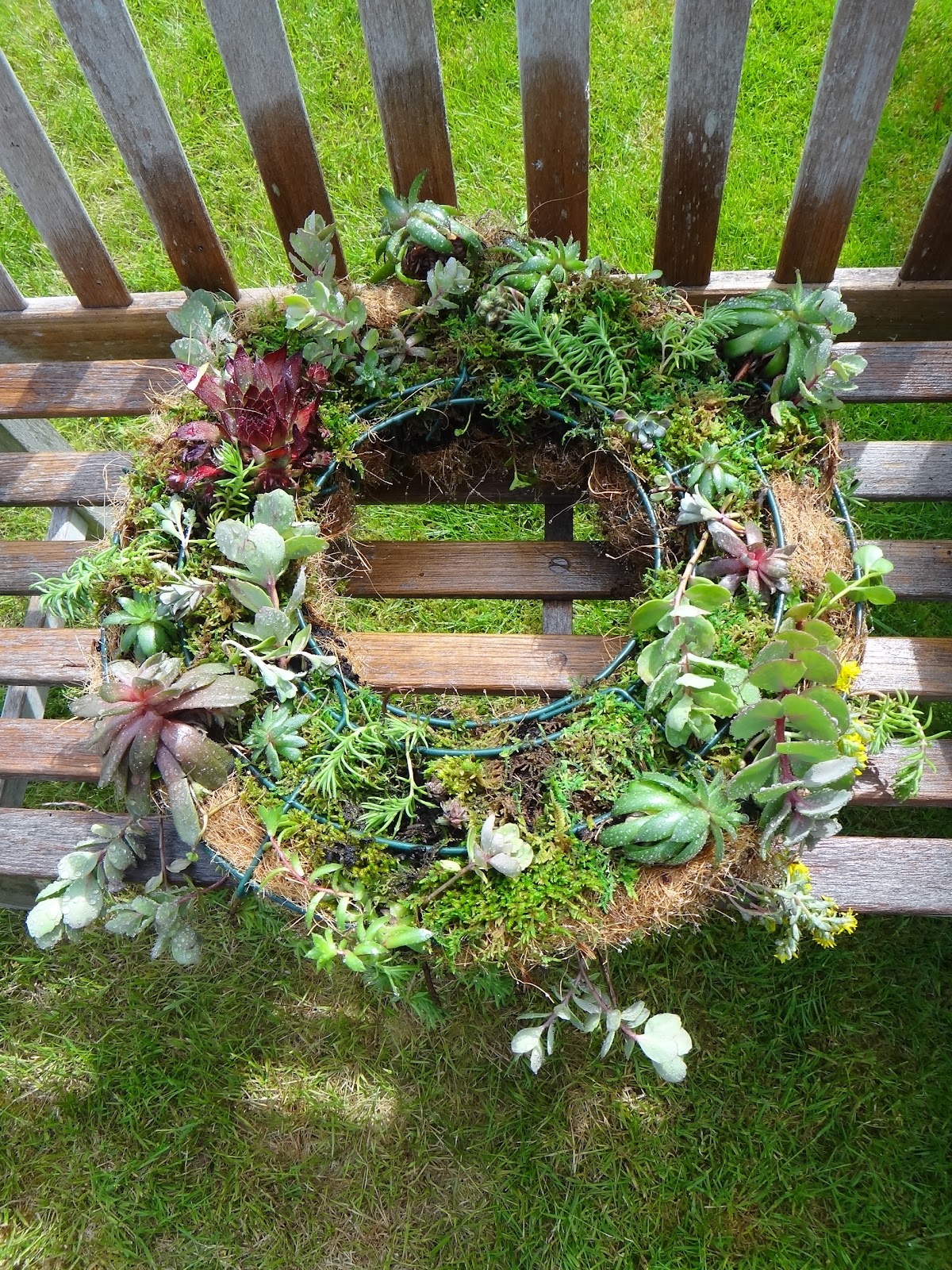 Feathers and Flowers: Living wreath