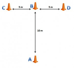 .: Screening, Monitoring, Evaluation & Reporting