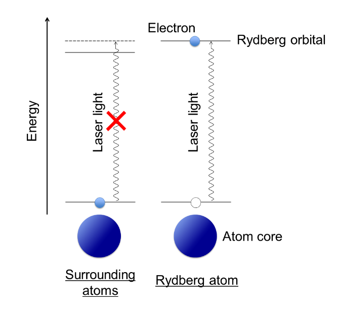2Physics: Ultrafast Quantum Simulator