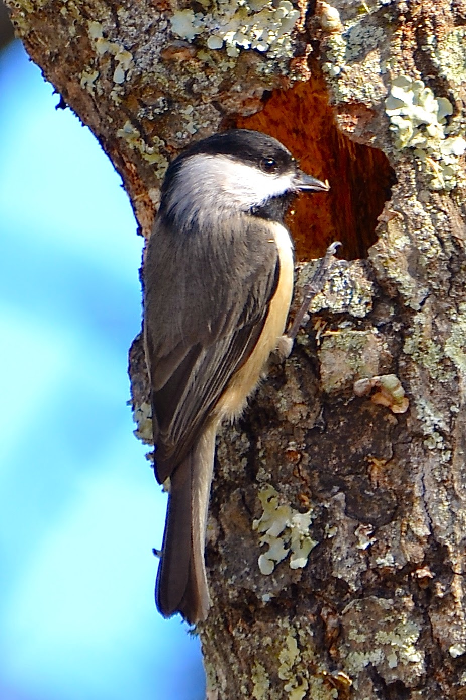 Our life in the Lark: Jan. 27, 2015 St. Andews State Park Florida ...