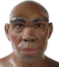 Science in the woods.: Homo heidelbergensis