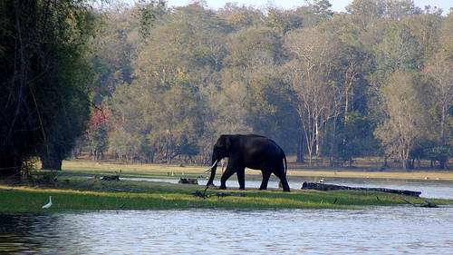 Coorg Tourism | Places to Visit in Coorg | Coorg India