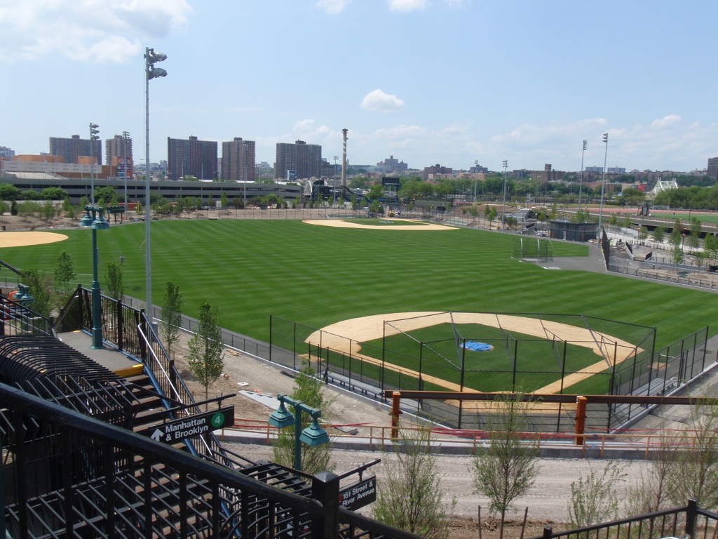 everything brisa: Baseball in the Bronx