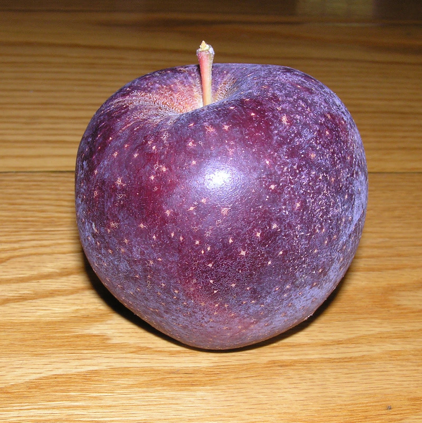 Gastronomía a Libreta Abierta, [=I=]: Tipos de Manzanas (I y II Parte)