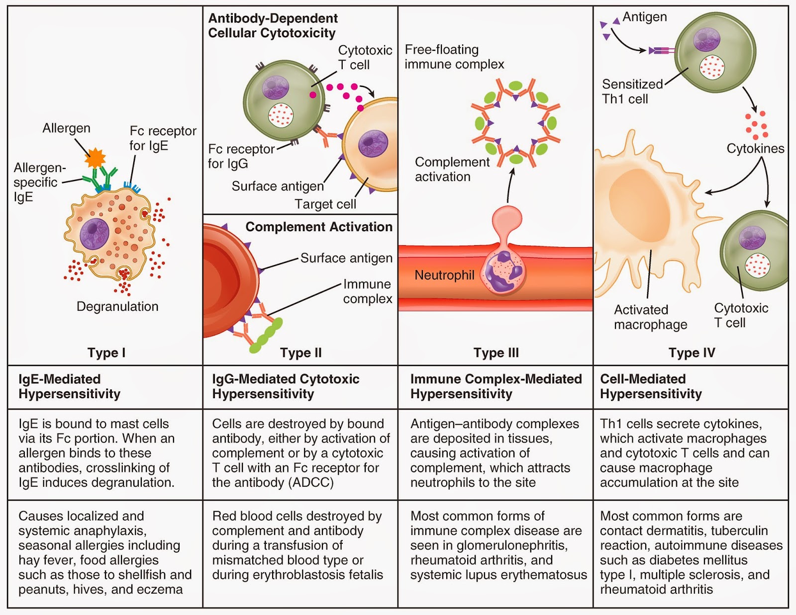 PHARM-D : PATHOPHYSIOLOGY