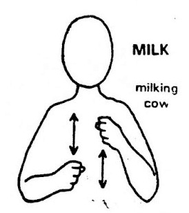 Non-native Mommy: Baby sign language