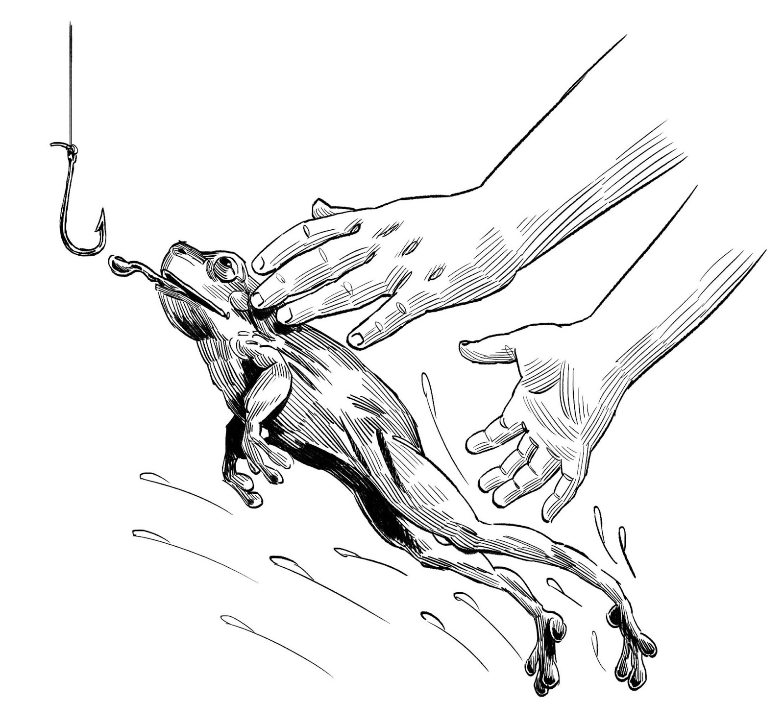 JOHN HINDERLITER Artist and Illustrator