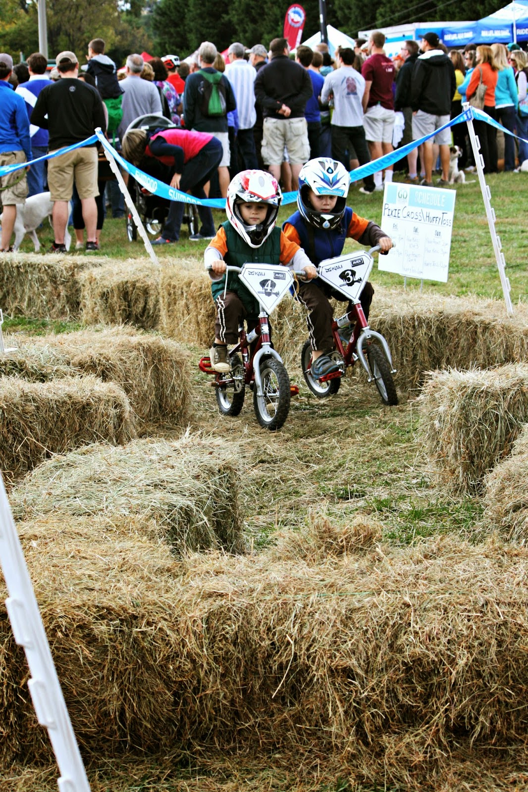 Two Bears Farm and the Three Cubs: Spy Cows