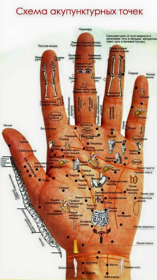 Gaismasdarbinieki: Plaukstas akupunktūras punkti.