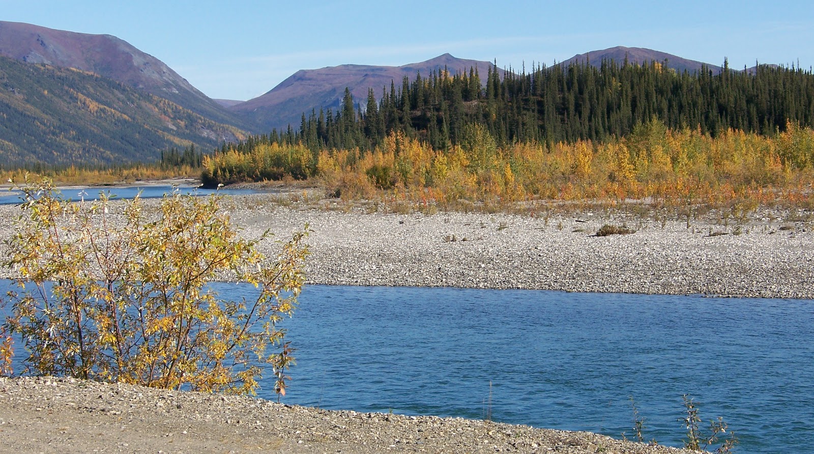 Charlie and Mary's Alaska Adventures: Adventures in Wiseman, Alaska