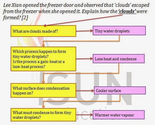 How to score FULL MARKS for PSLE Science (Section B)