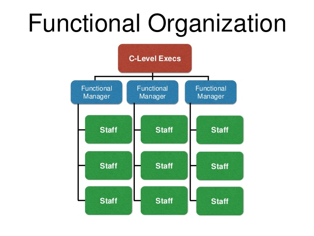 Functional Organization - MBA CONCEPTS
