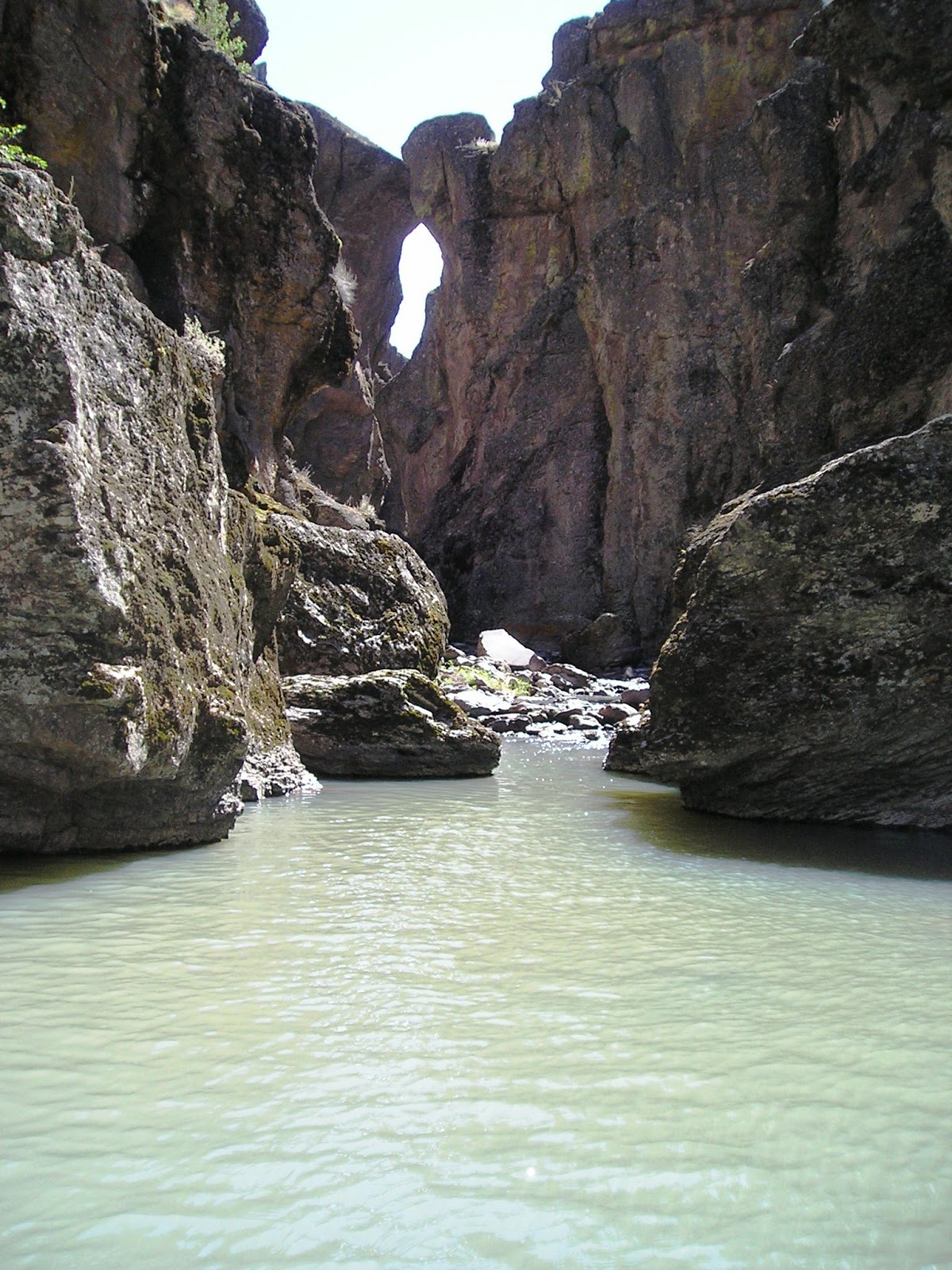 Birding Is Fun!: Three Forks of the Owyhee River