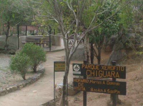 Chiguará ~ Paseando Mérida