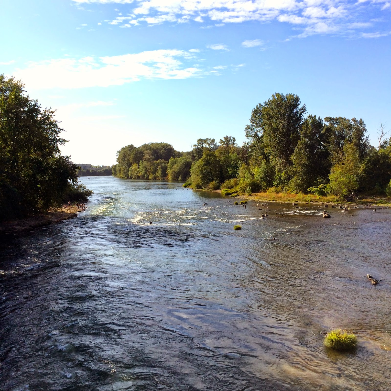 Run This Town & World: Track Town USA, Eugene, Oregon: Animal House ...