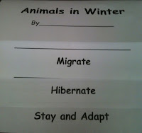 Kathy's First Grade Adventure: Animals in Winter