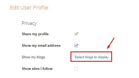 Cara Mengubah Google Plus Menjadi Blogger Profile > Contoh Blog