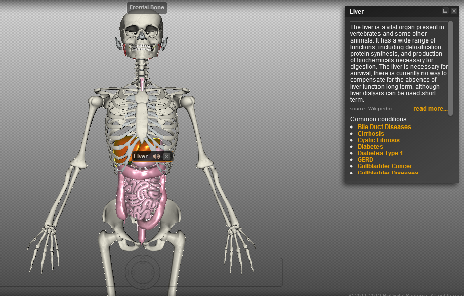 WotW: Digitally Explore the Human Body - Housewife Eclectic