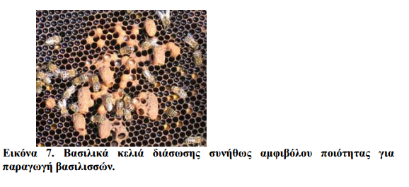 ΜΕΘΟΔΟΙ ΠΑΡΑΓΩΓΗΣ ΒΑΣΙΛΙΚΩΝ ΚΕΛΙΩΝ & ΕΜΒΟΛΙΑΣΜΟΣ