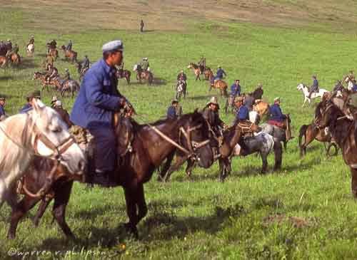 Retired--Now What?: Horse Year Photo Addendum